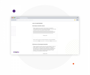 Fully OECD compliant Master files and Local files at the lowest costs!