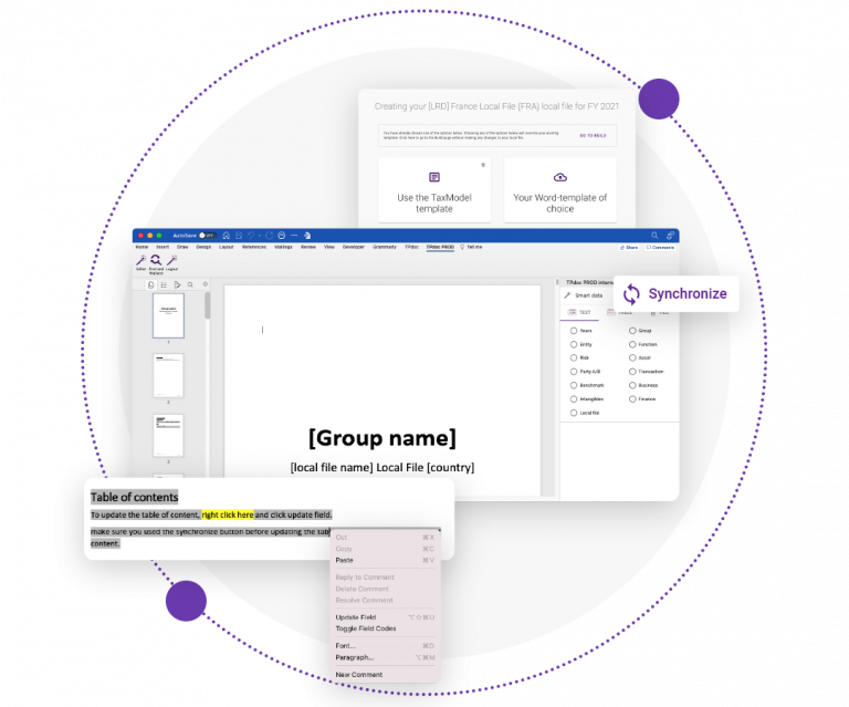 Transfer Pricing Documentation | TPdoc