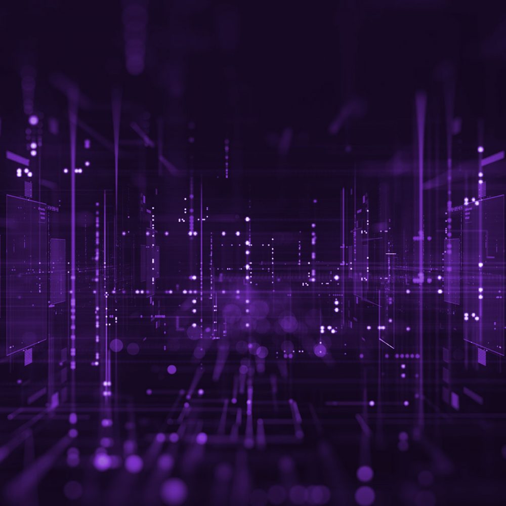 Transfer Pricing - Preparing a segmented P&L